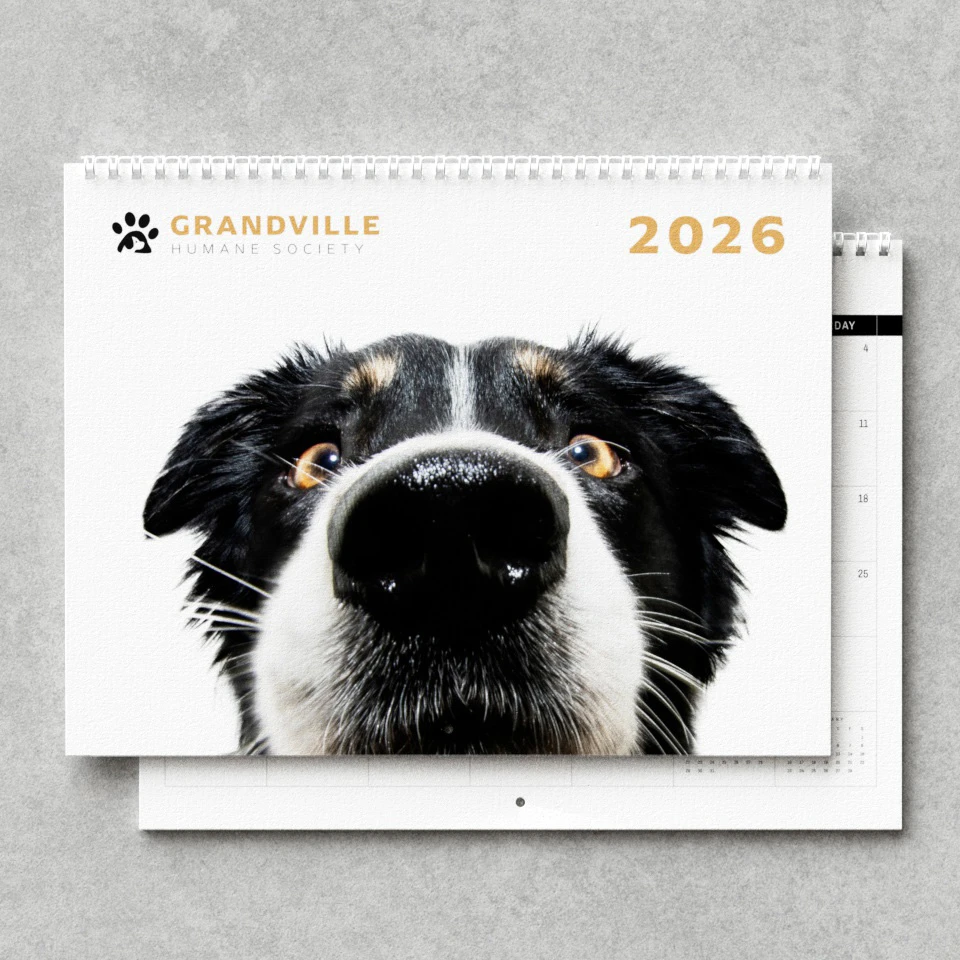 lulu custom wall calendar