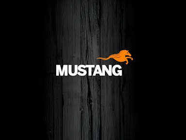 Mustang – laadukkaat grillit | Prisma.fi-verkkokauppa