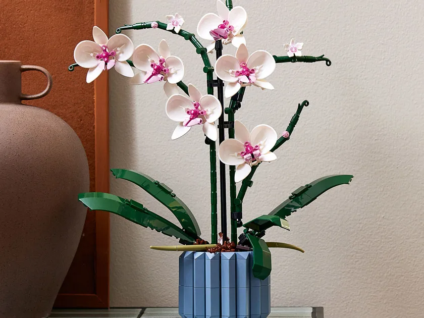 LEGO Botanicals | Prisma.fi-verkkokauppa