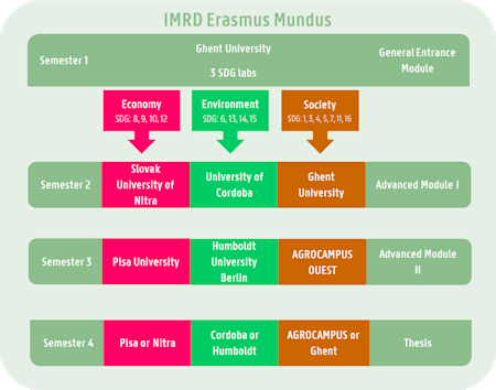 IMRD - Learning outcomes & Course content