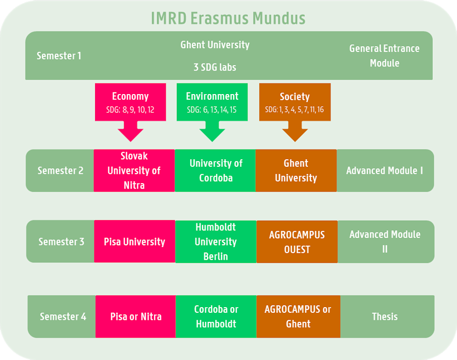 IMRD - Learning outcomes & Course content