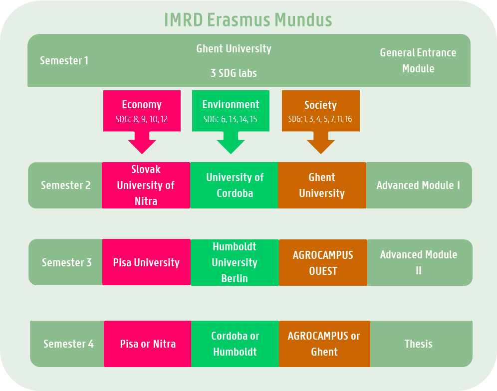 IMRD - Learning outcomes & Course content