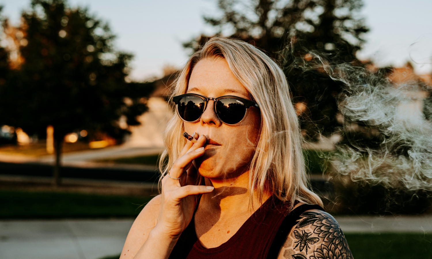 What Is Skunk Weed? Complete Guide to Smell, Potency, and Effects