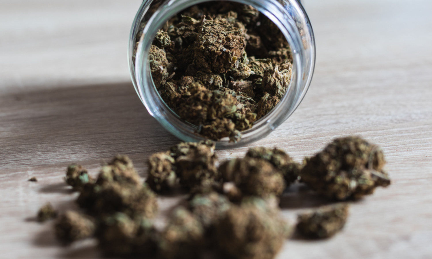 Is Brown Weed Moldy or Just Old? Visual Identification Guide