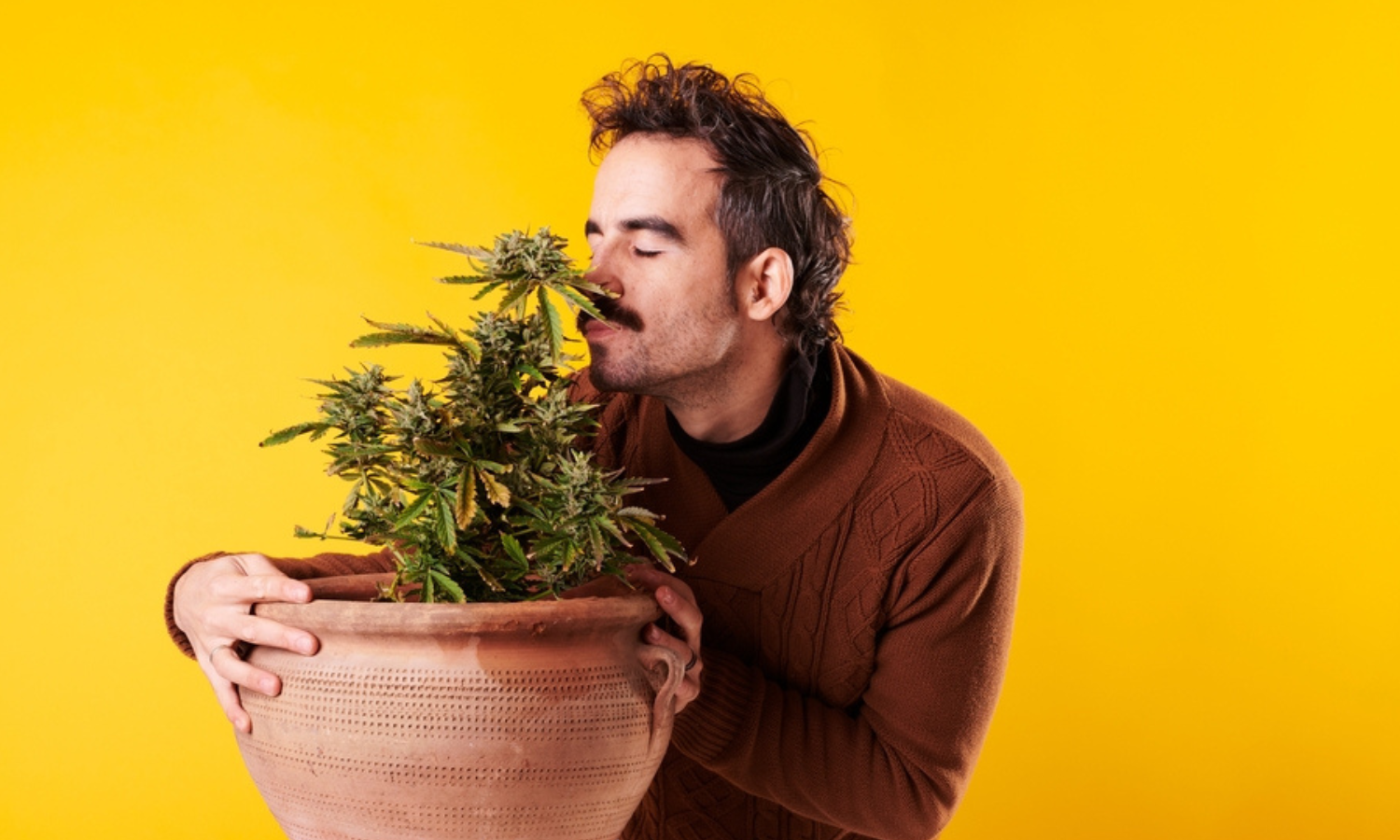 Why Your Weed Smells Different Now Than Yesterday