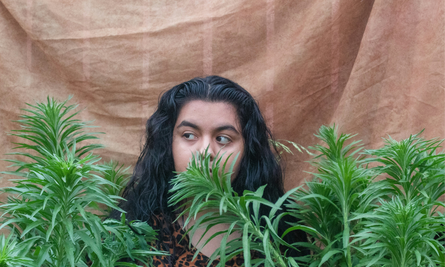 What Does Moldy Weed Smell Like? The Guide to Cannabis Mold Detection