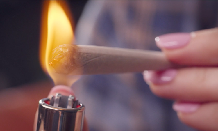 Blunts vs. Joints: Key Differences & Which One’s Right for You