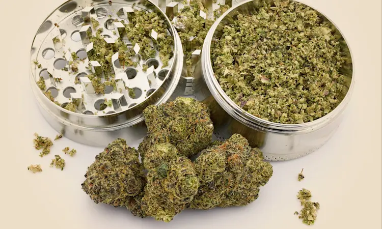 Pluto Strain vs. Others: Flavor and Effects