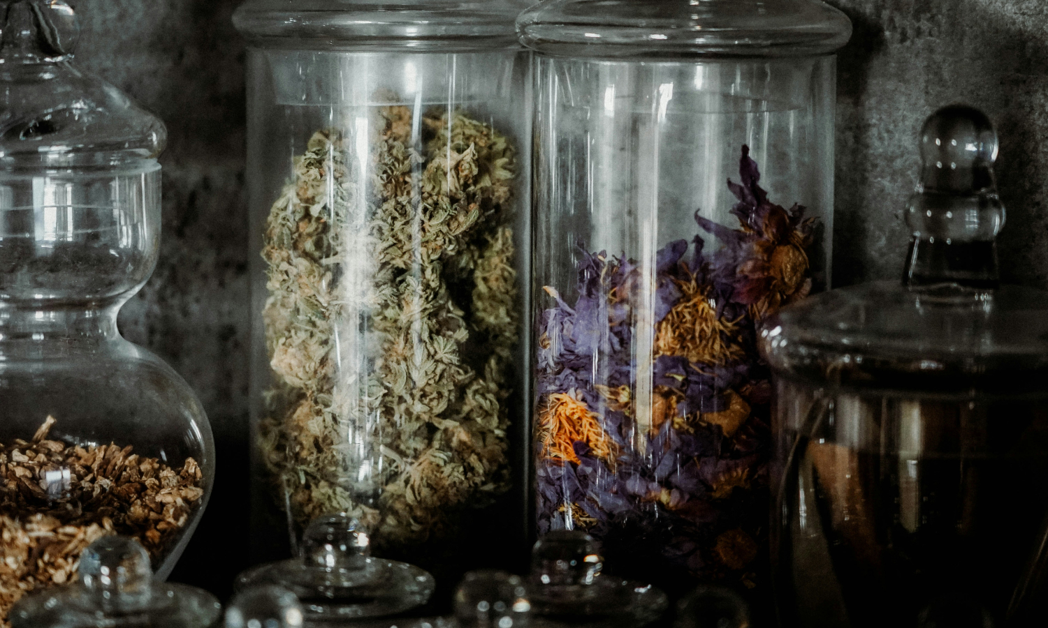 Blue Dream Strain Effects Complete Guide from First Hit to Final Hour