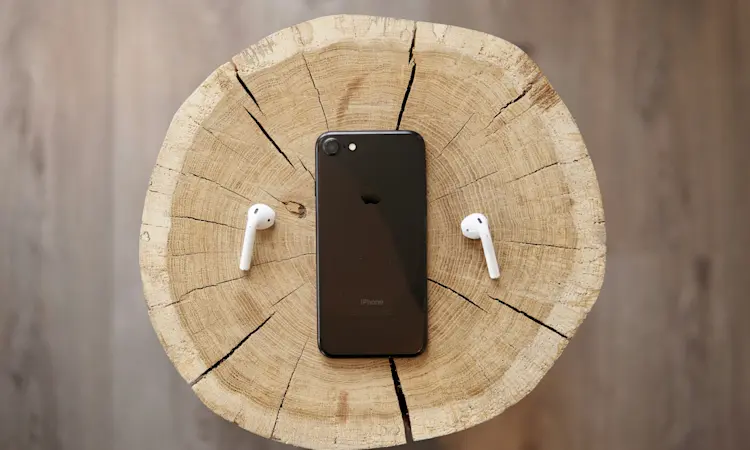 The Most Fun Things To Do While High: Our 20 Favorite Activities