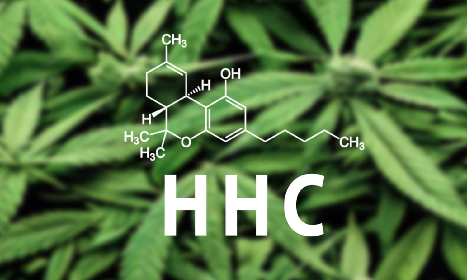 What is HHC? Effects, Safety, and Everything You Need to Know