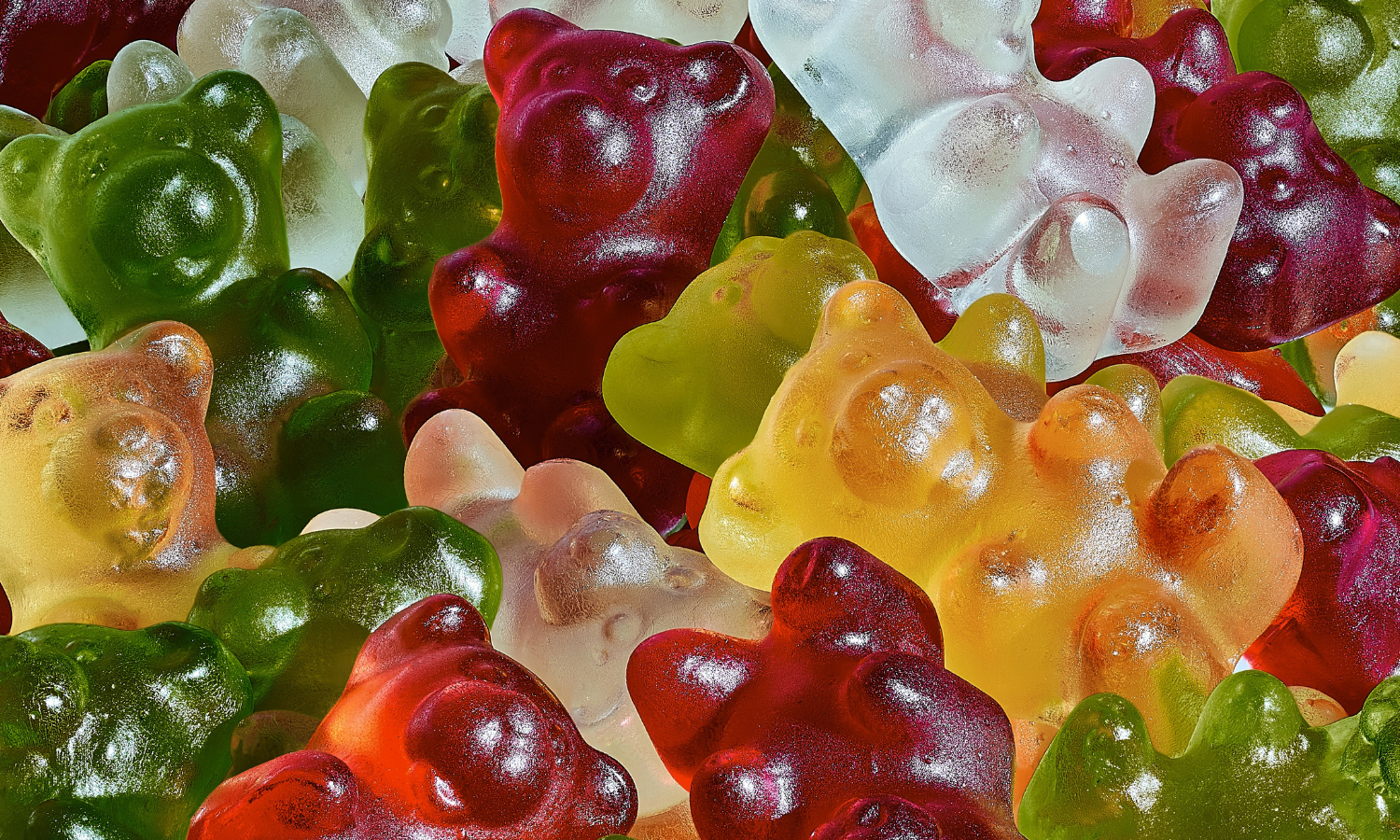 Sugar-Free THC Gummies The Definitive Guide to Brands and Effects