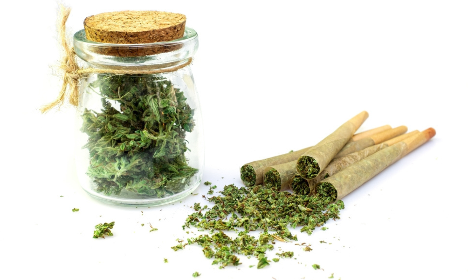 Best Pre-Rolled Blunts and What Makes Them Worth Your Money