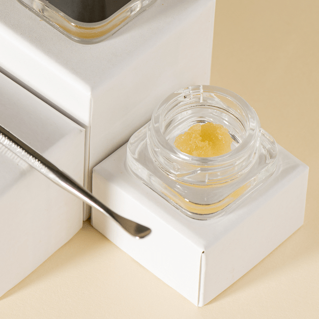 Complete Guide to Zkittlez Strain Effects from Mind to Body