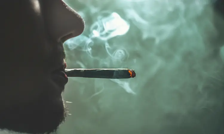 How to Roll a Blunt with Any Type of Wrap