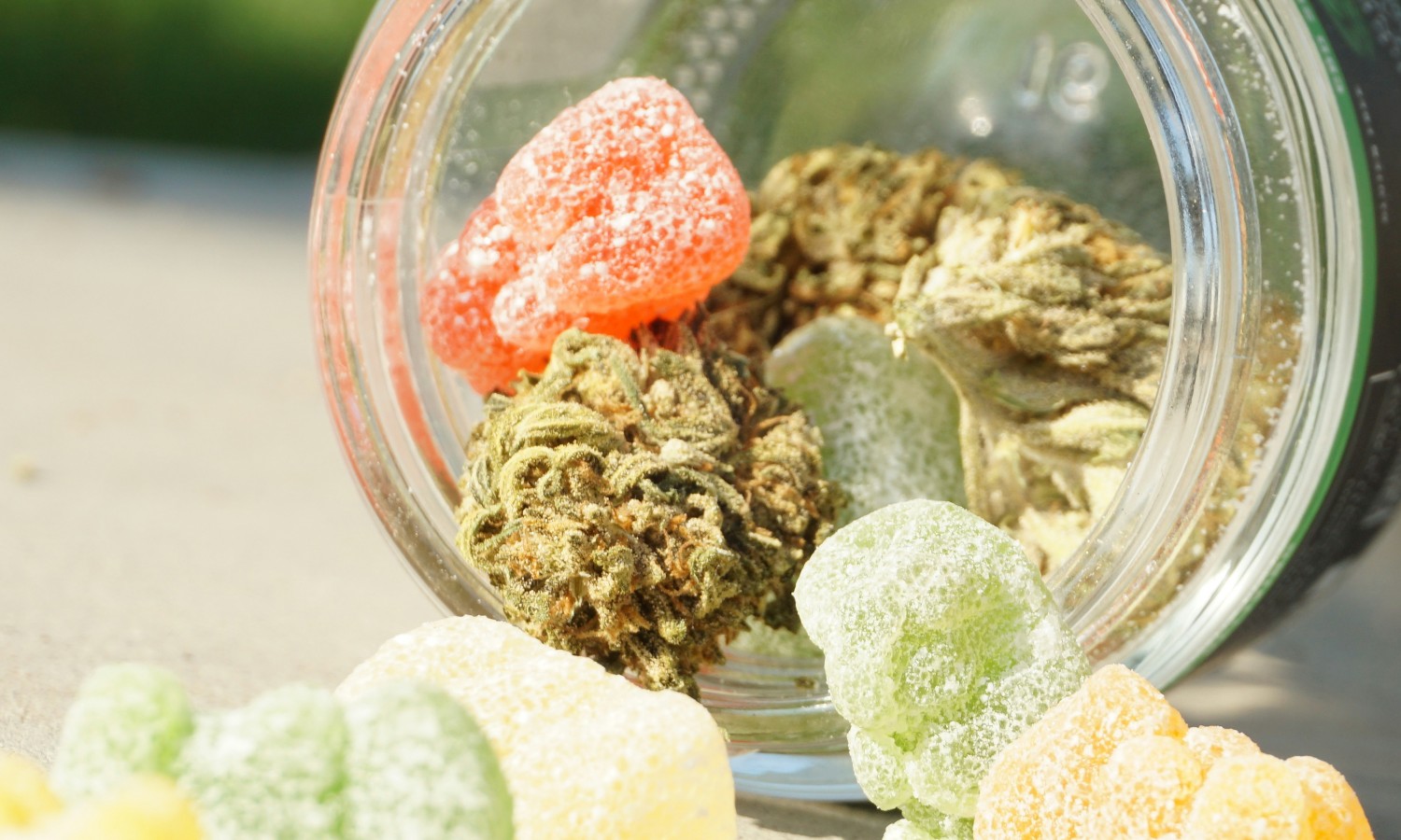How To Make Edibles: Easy Guide for Beginners