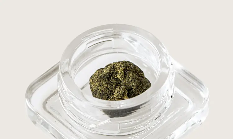 Kief vs. Hash: 5 Differences & Extraction Methods Explained Kief vs. Hash: 5 Differences & Extraction Methods Explained