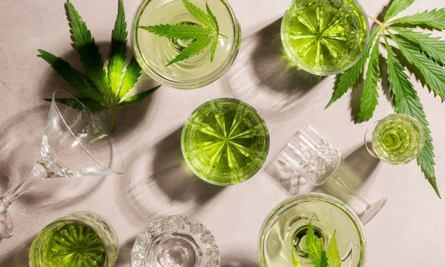 Best THC Seltzer Breakdown: Everything You Need Before Buying