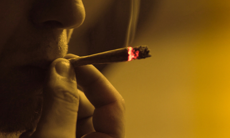 How to Roll a Joint Step by Step Plus Fix Common Problems