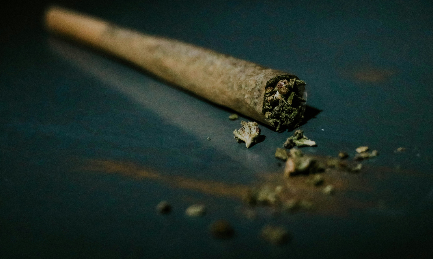 Strongest Weed Strains Ranked by THC Percentage and Real Effects