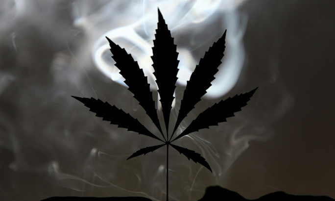 Blunts vs. Joints: Key Differences & Which One’s Right for You