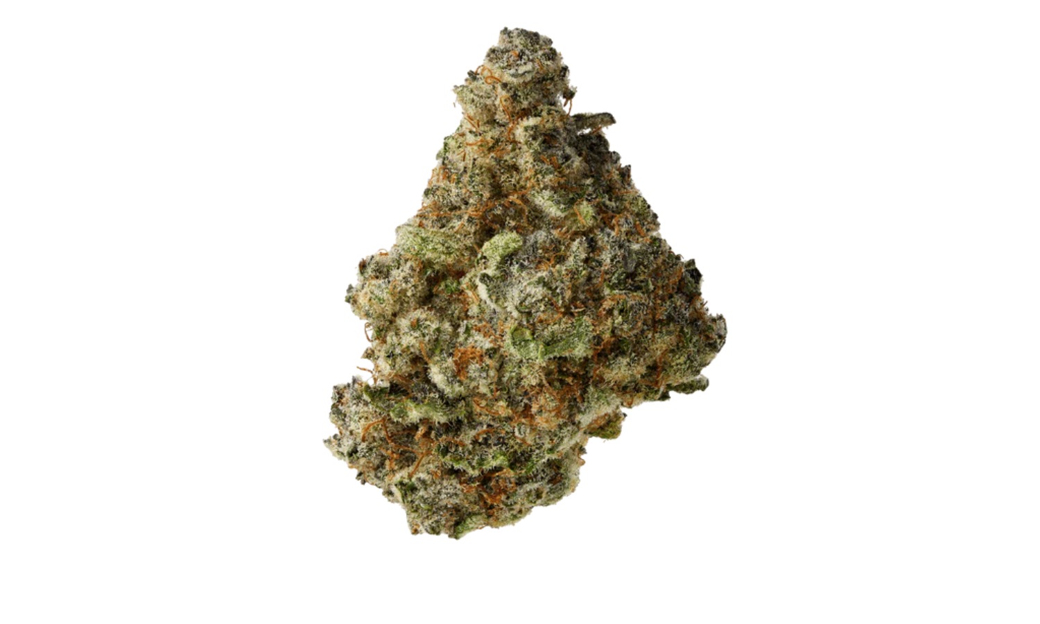 Super Buff Cherry Strain Compared to Popular Hybrids