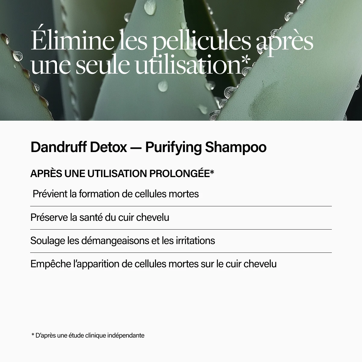 Keune Shampoing Détox Antipelliculaire 300 ml | Keune