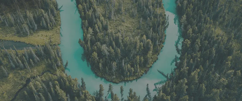 Keune Haircosmetics | Premium hair care since 1922