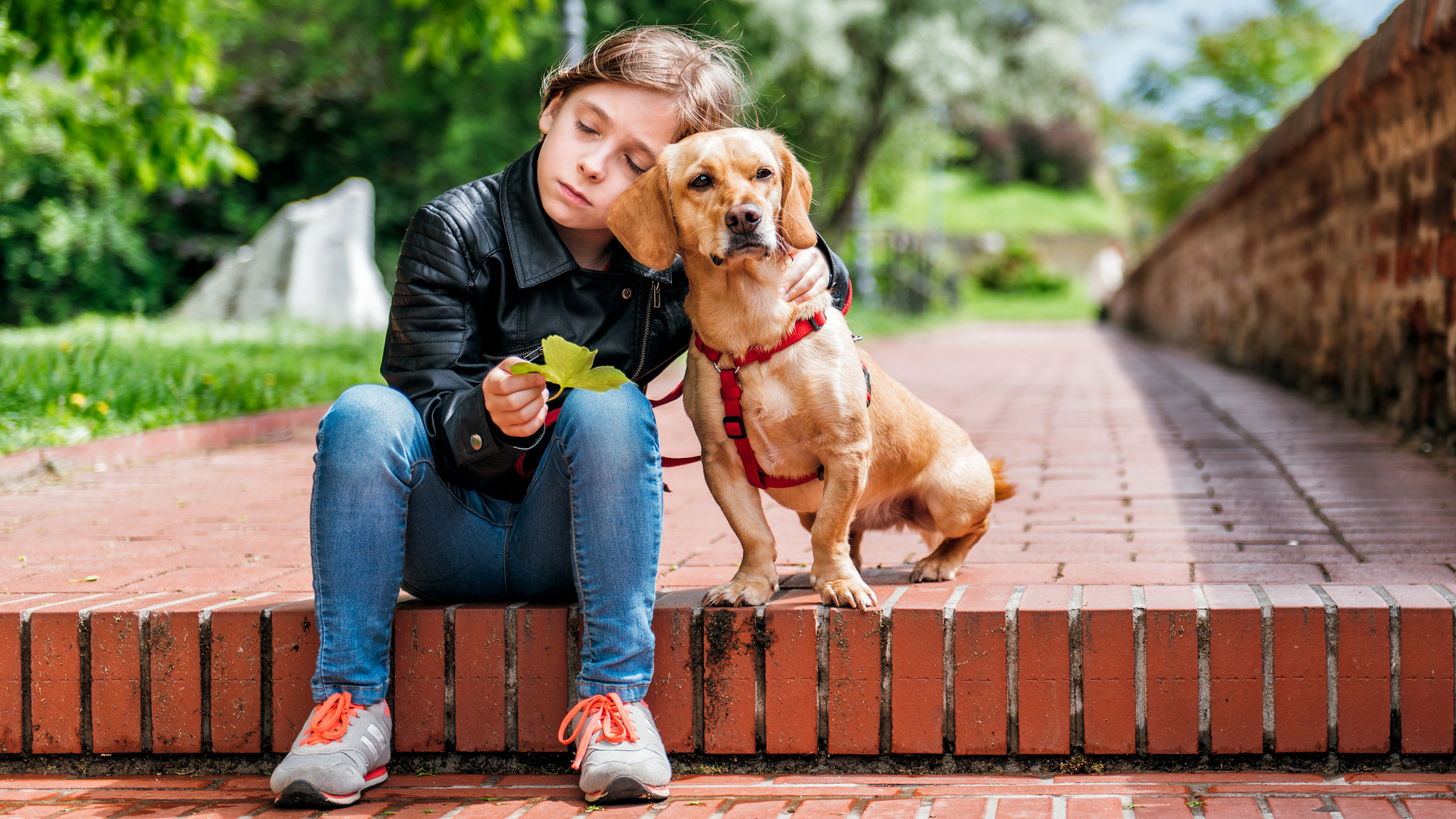 Teaching Kids to Say Goodbye to a Pet | Mom.com