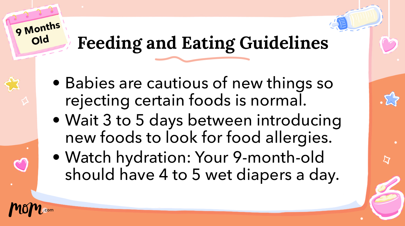 Your 9-Month-Old | Mom.com