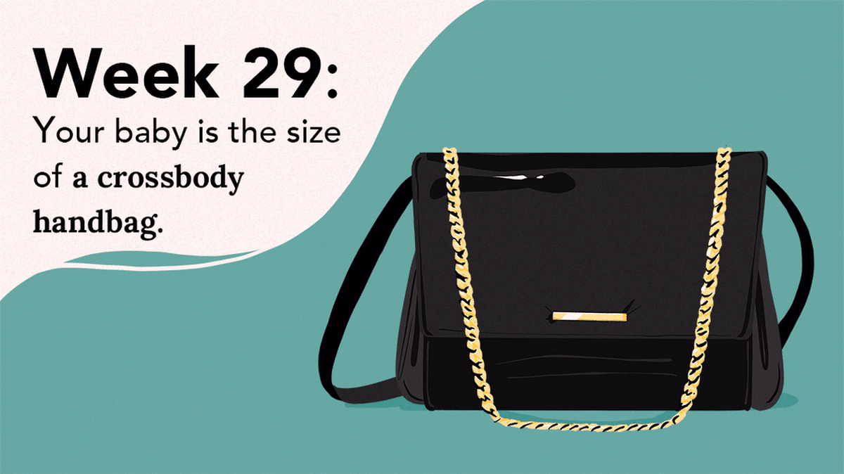 Your Pregnancy: Week 29 | Mom.com