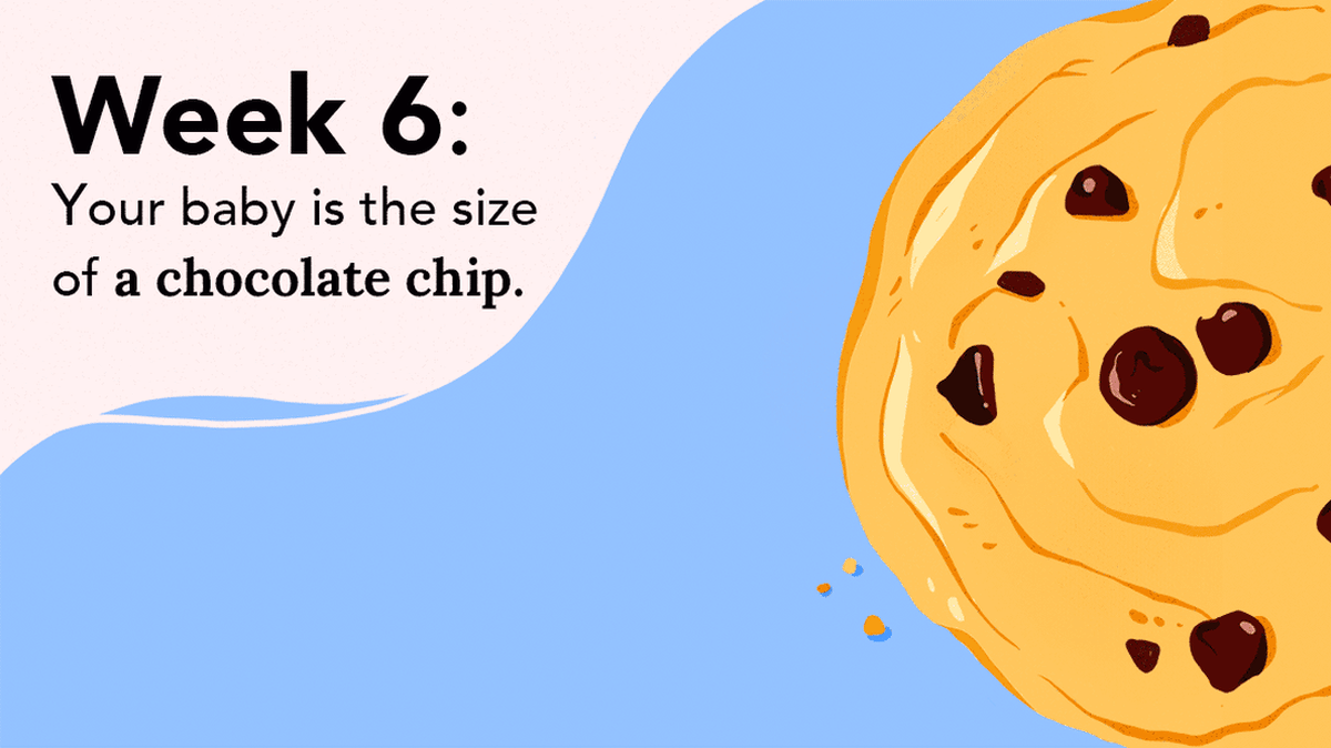 Your Pregnancy: Week 6 | Mom.com