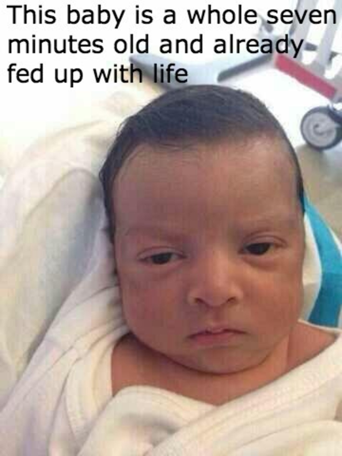 50 Best Baby Memes | Mom.com