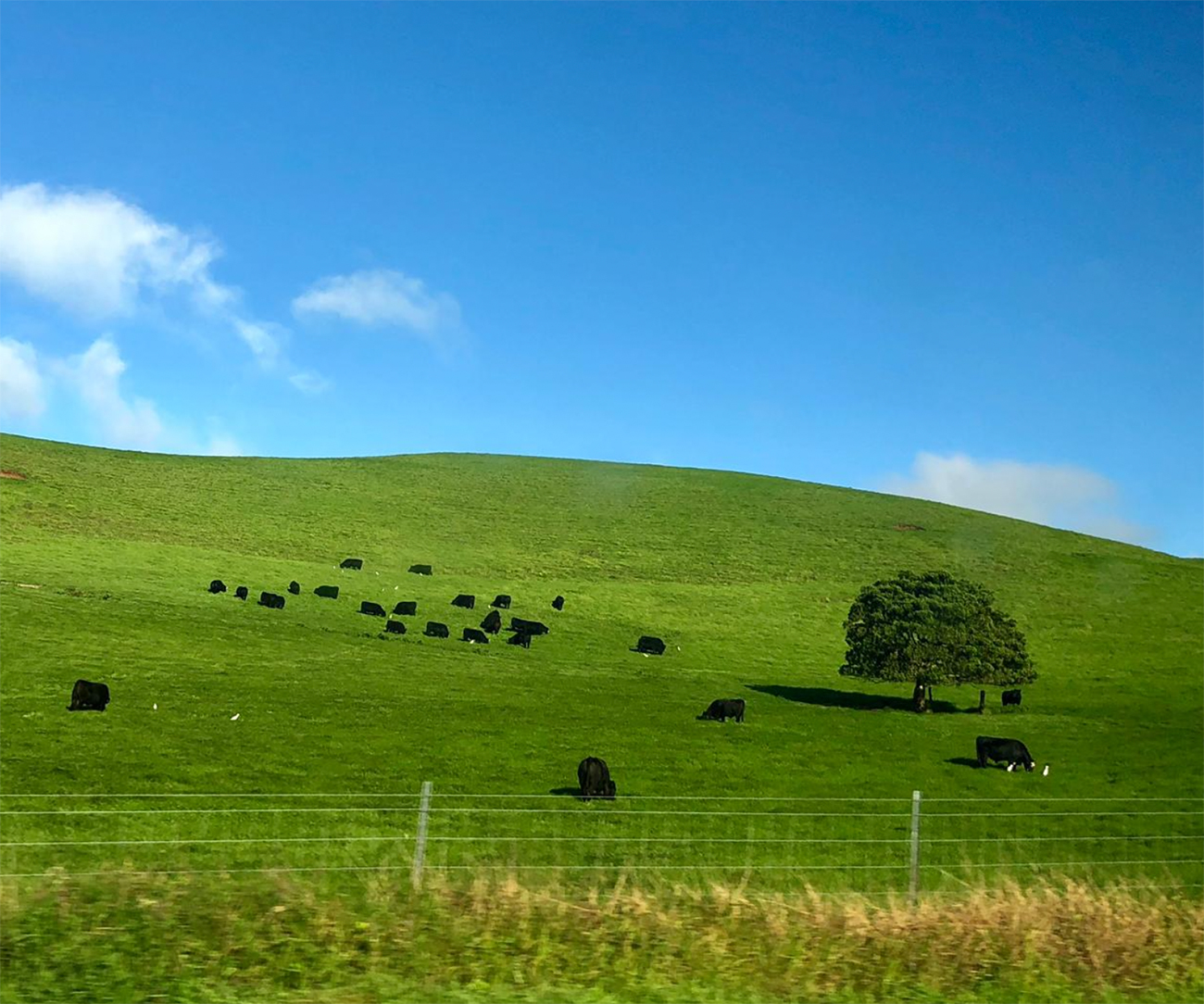 Hawai’i Unplugged: Embracing Nature’s Playground Beyond the Beaches