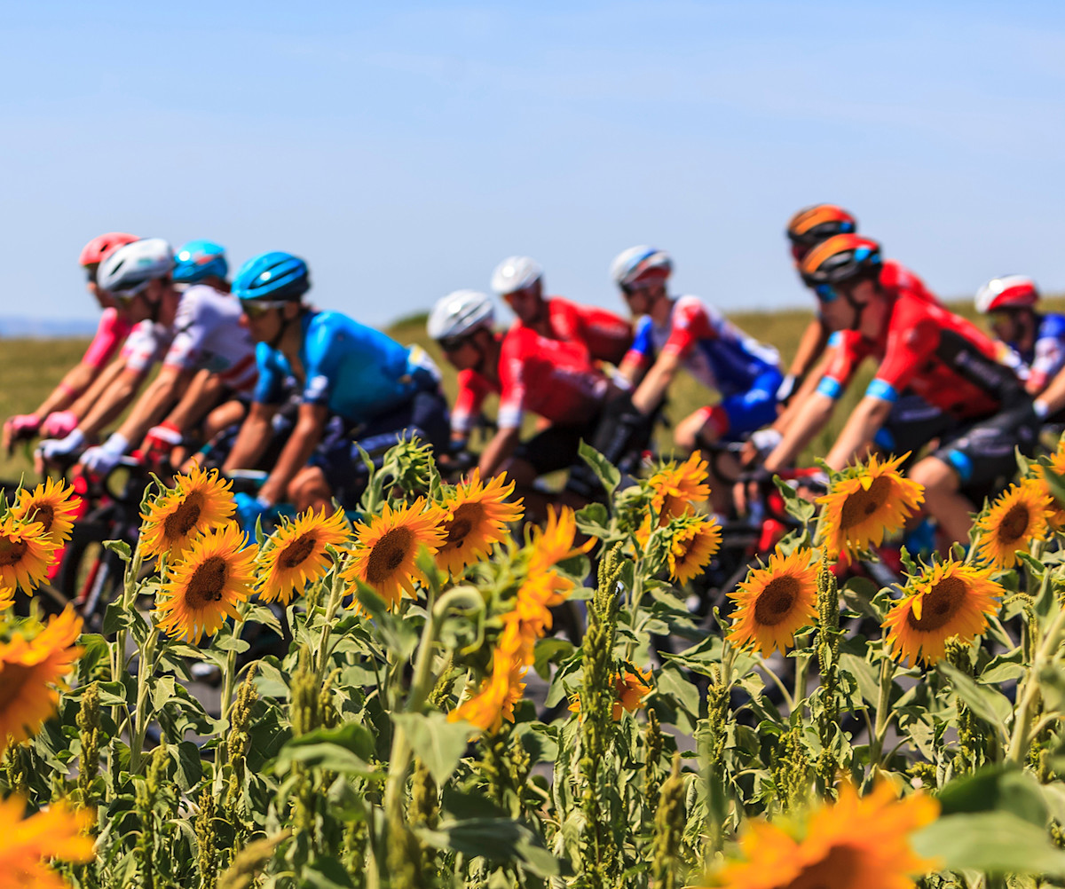 How Pro Cyclists' Lives Have Gotten More Complex in the Last 10 Years