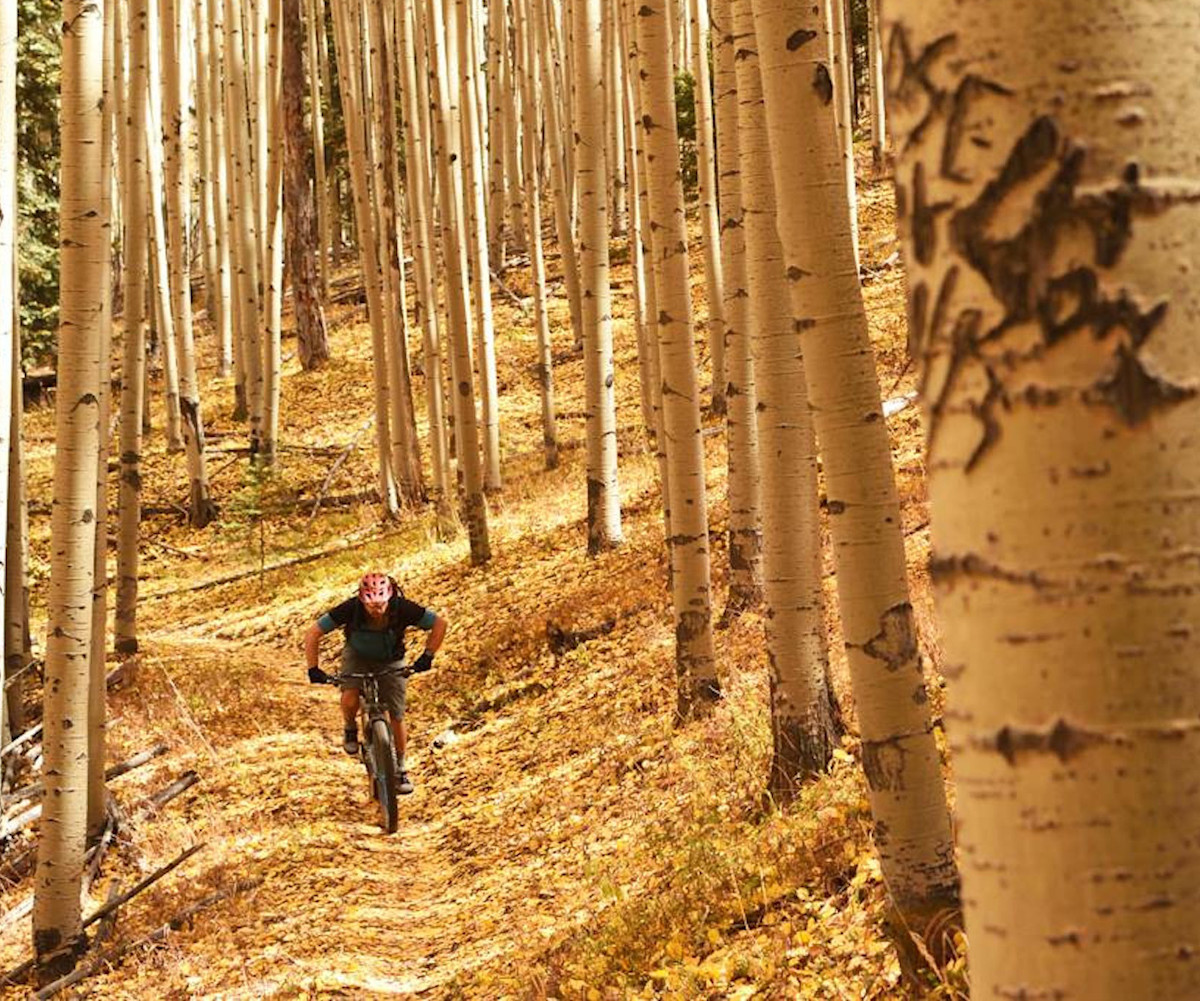 25 Mountain Bike Trails in the USA to Ride Before You Die