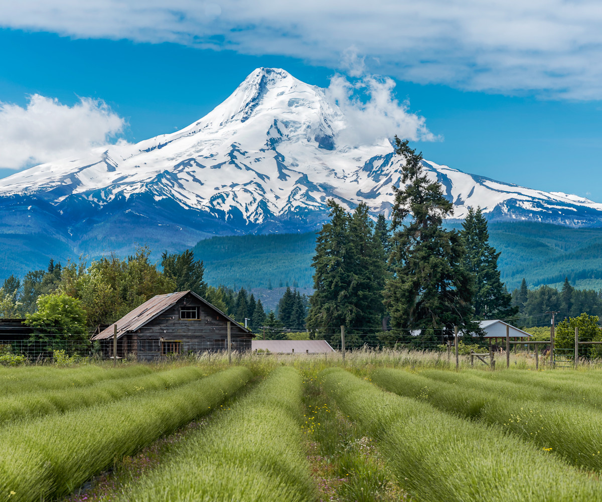 Learning to Climb Mountains in America's PNW: 6 Recommended Summits