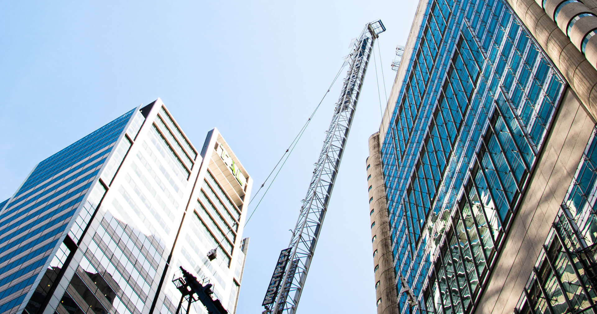 Strut Consultants | A better built environment