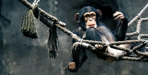 Good Code Hackathon 2022 Starts July 13