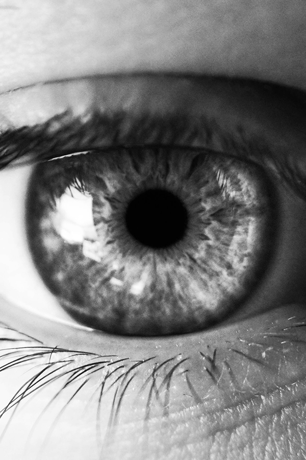 London Vision Clinic radically improved customer oversight using ...