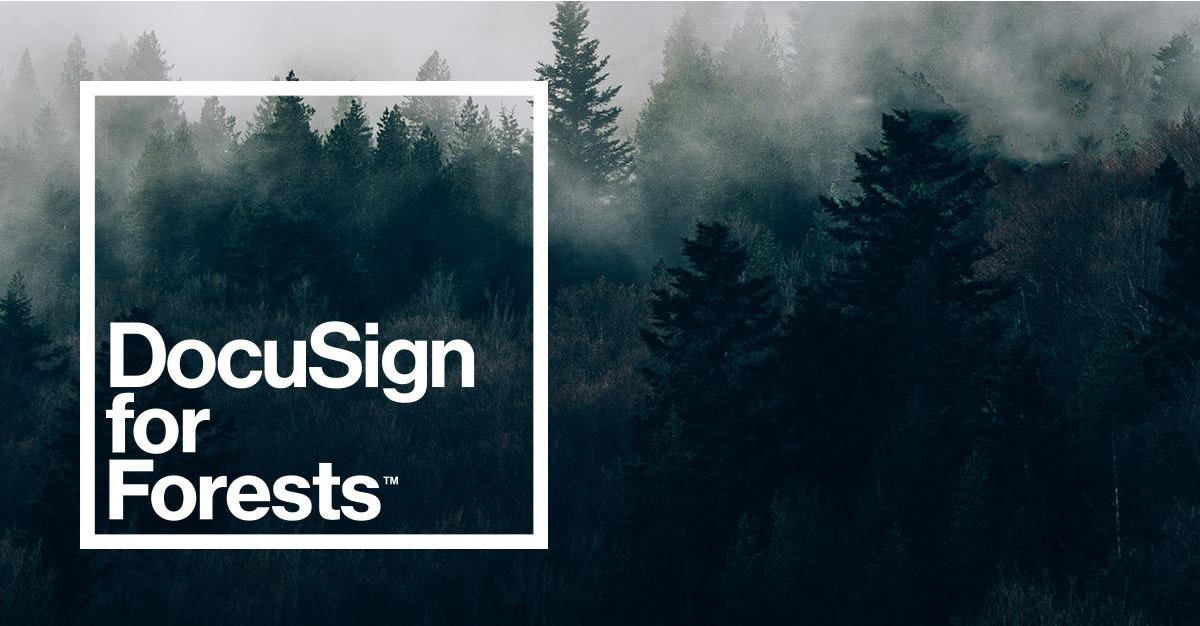 Docusign for Forests 〜 ジェーン・グドール博士の功績を辿る