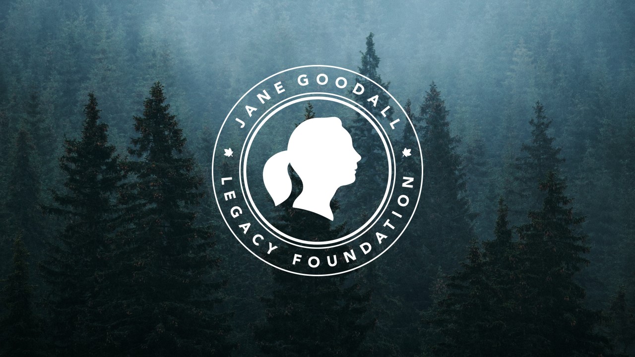 Docusign dévoile son initiative « Docusign for Forests » au Forum ...