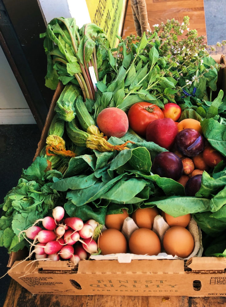 Terrain's Philanthropy: Our Community + Environmental Efforts