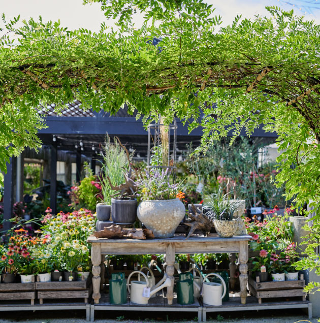 Terrain Store Locations