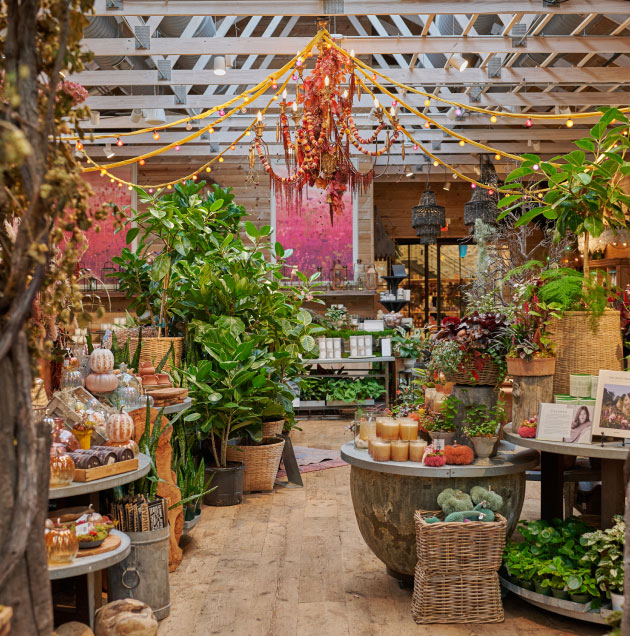 Terrain Store Locations