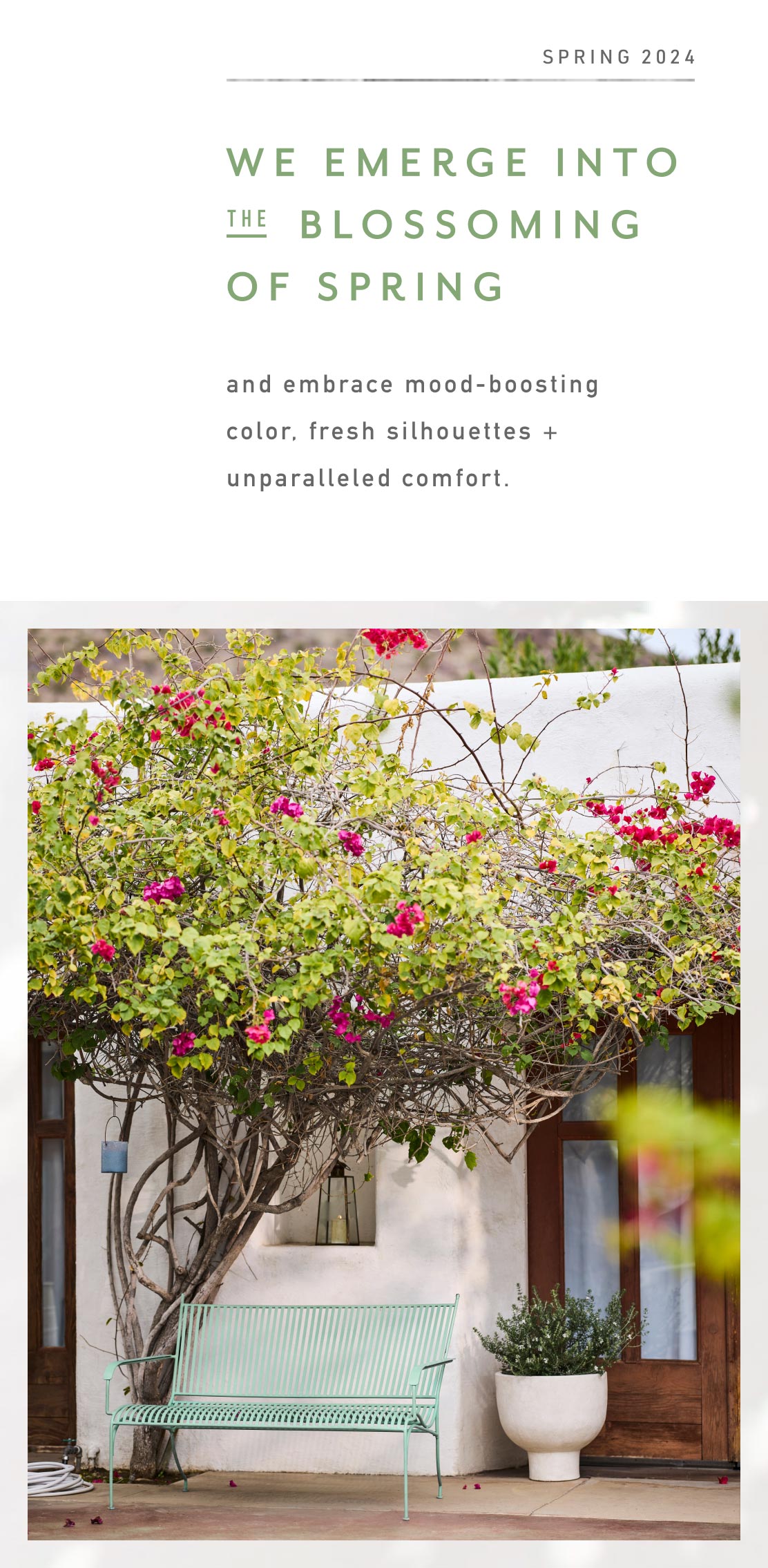 Spring Décor + Entertaining Essentials