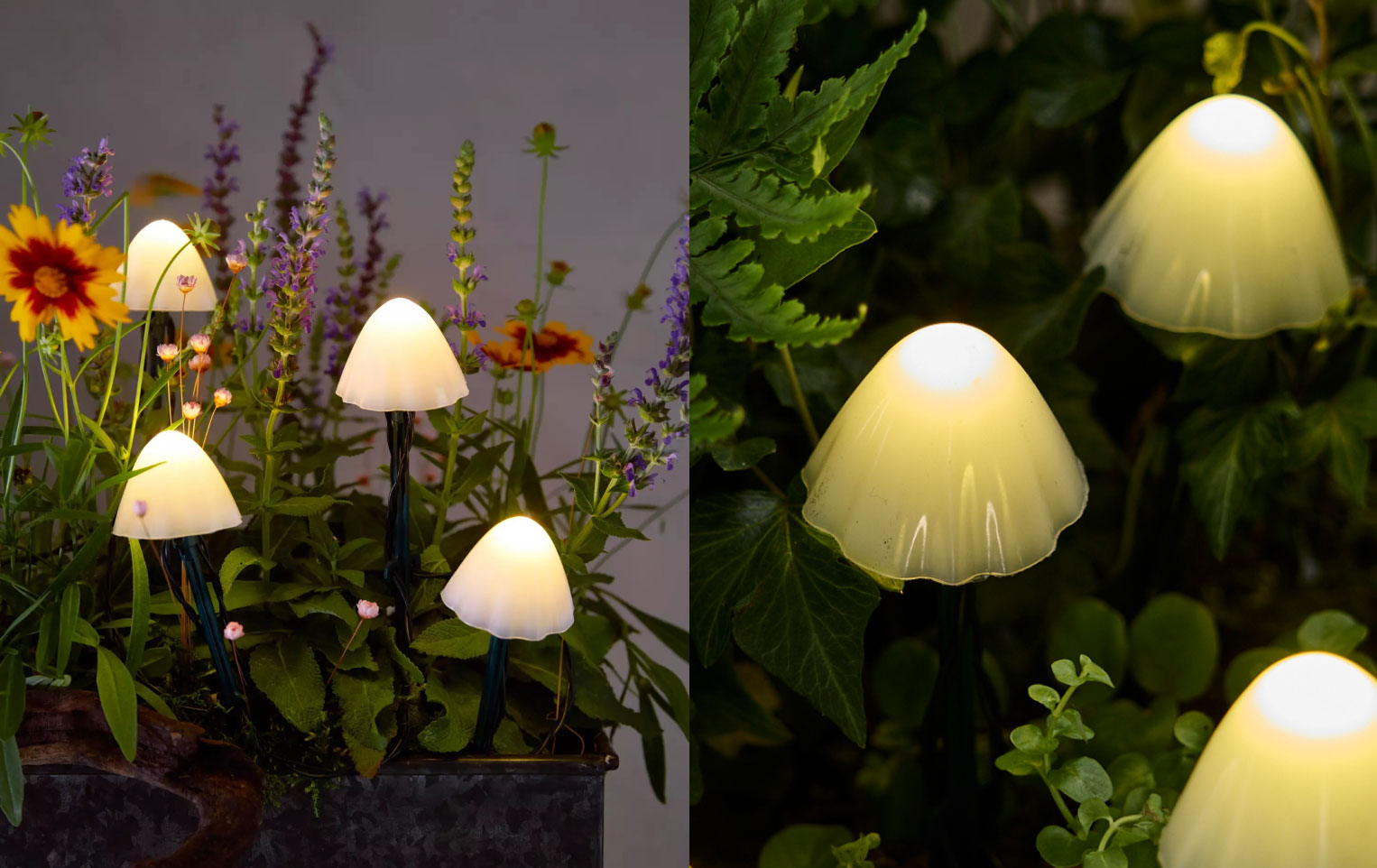 Indoor + Outdoor Lighting Guide | Terrain