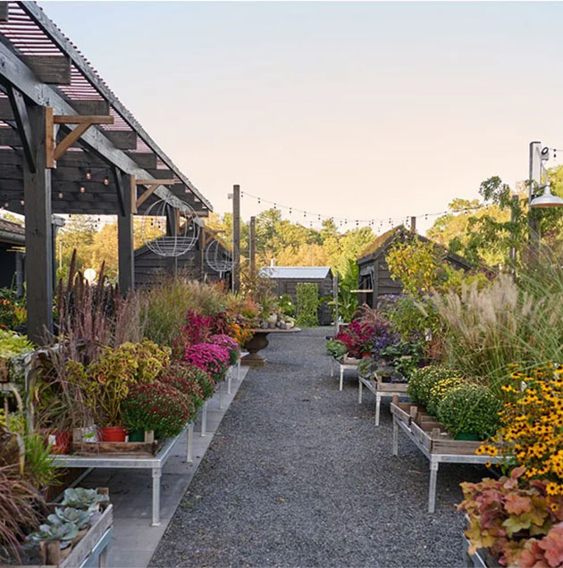 Terrain Store Locations