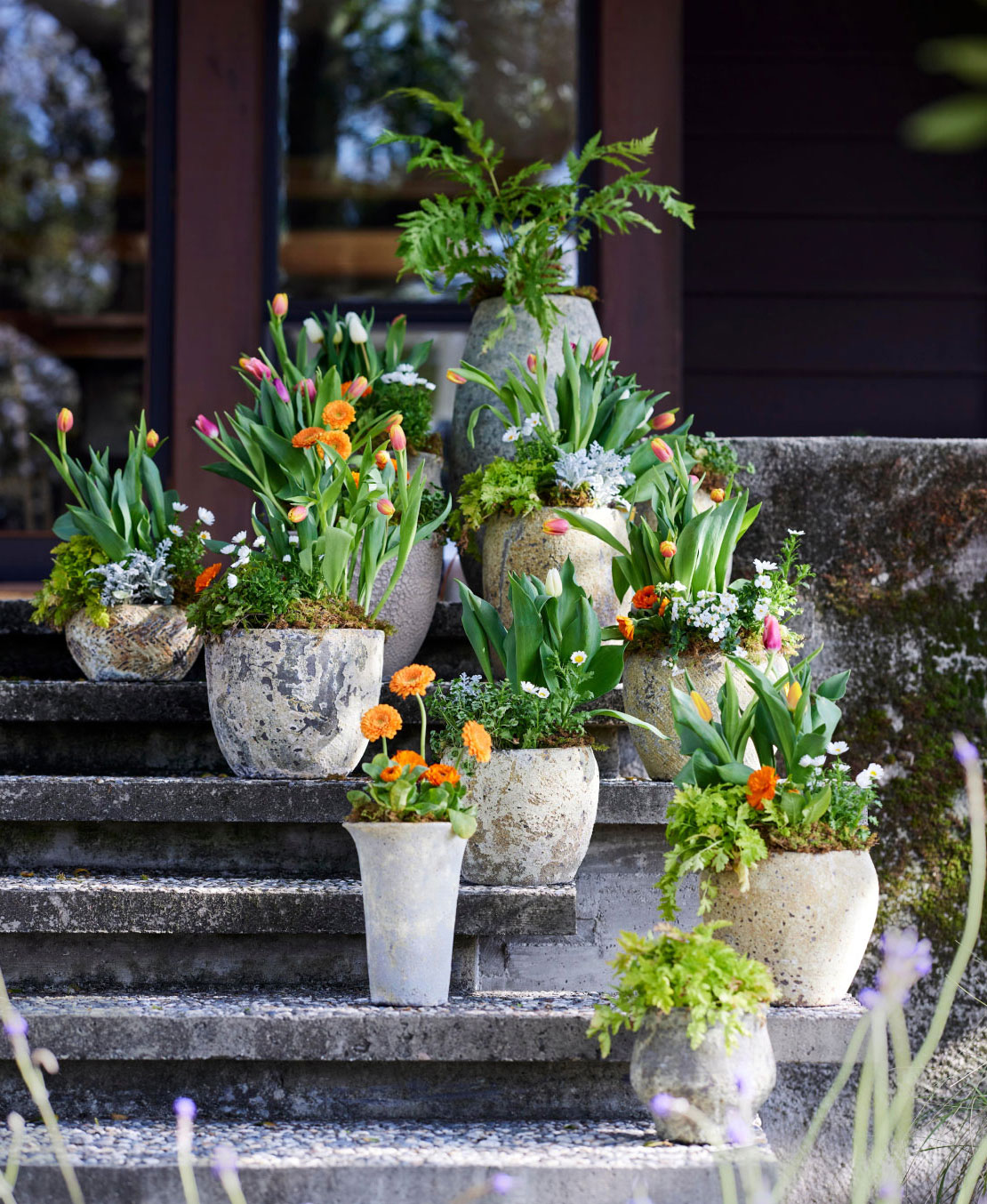 The Garden Shop