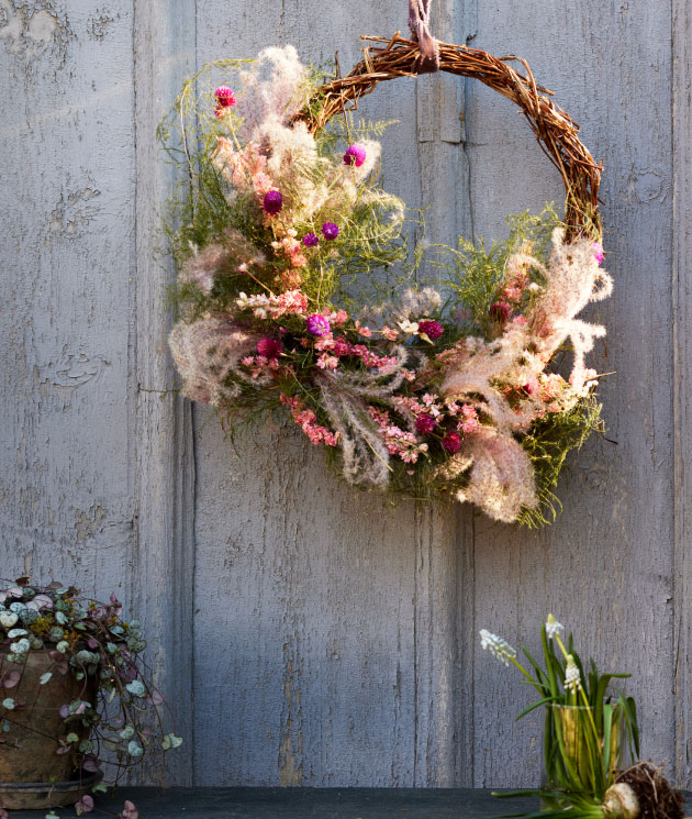 Plants + Flowers | Terrain